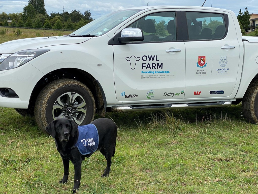 Public Open Day - Owl Farm