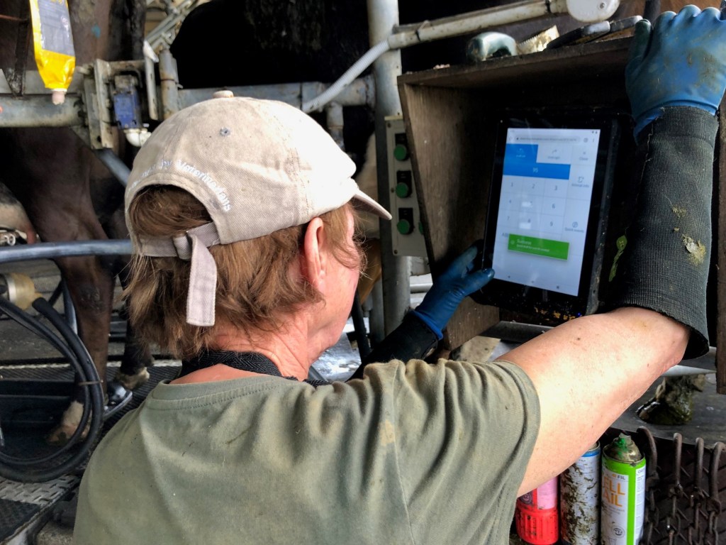 Technology - Owl Farm